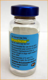 Zoetis - Product Bronchicine™ | Zoetis ZA